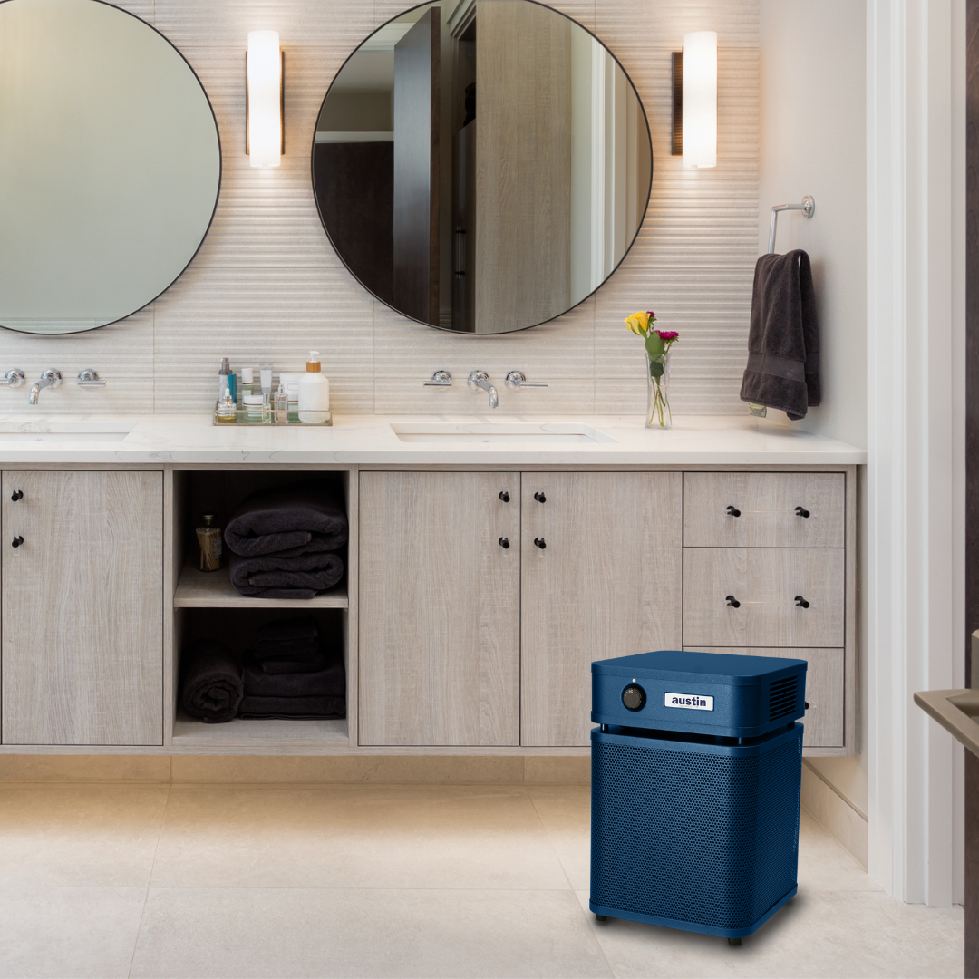 Austin Air HealthMate Jr. Air Purifier HM200 – FiltersOnline.com